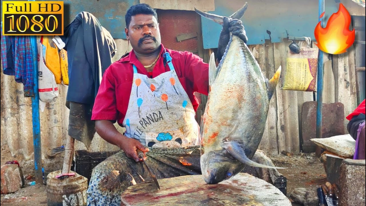 KASIMEDU FISH CUTTING💥| 10KG TREVALLY FISH CUTTING🐟 | FISH CUTTING ...