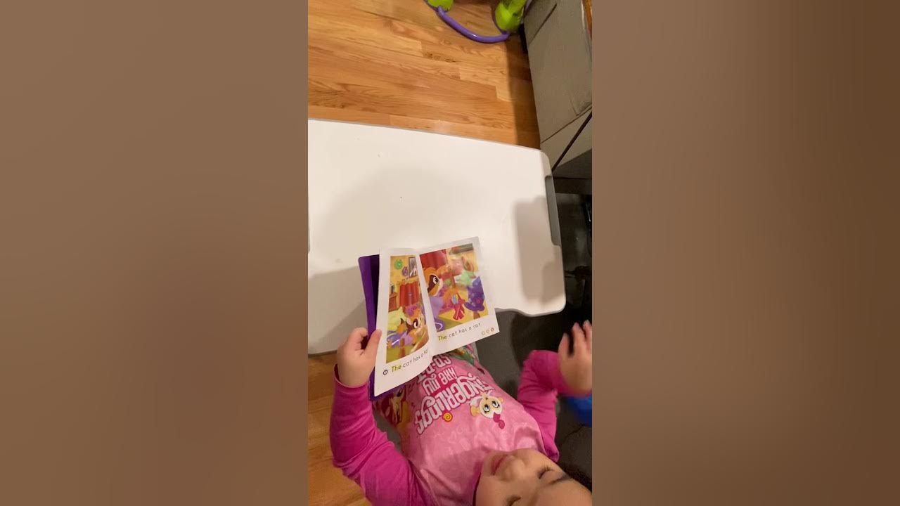 Casey cat has a hat - YouTube