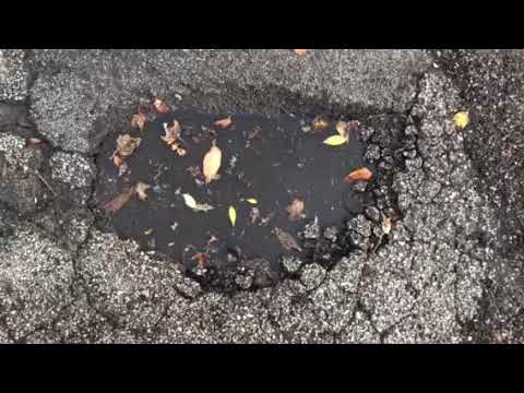 FISHING IN A MUD PUDDLE - YouTube