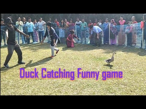 Duck 🦆 Catching game #Funny game 😂 - YouTube