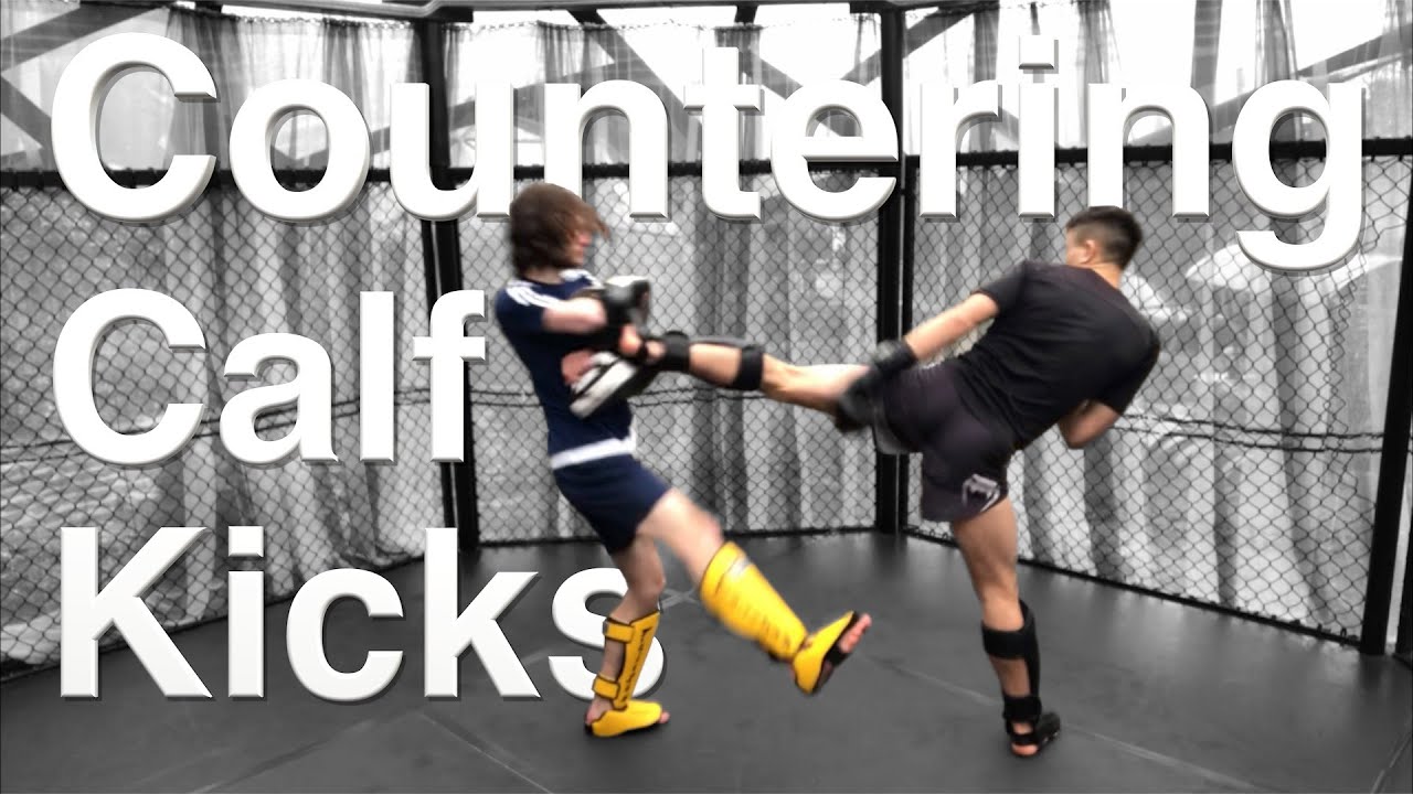 Calf Kick Counters and Defence (MMA | Kickboxing | Muay Thai) - YouTube