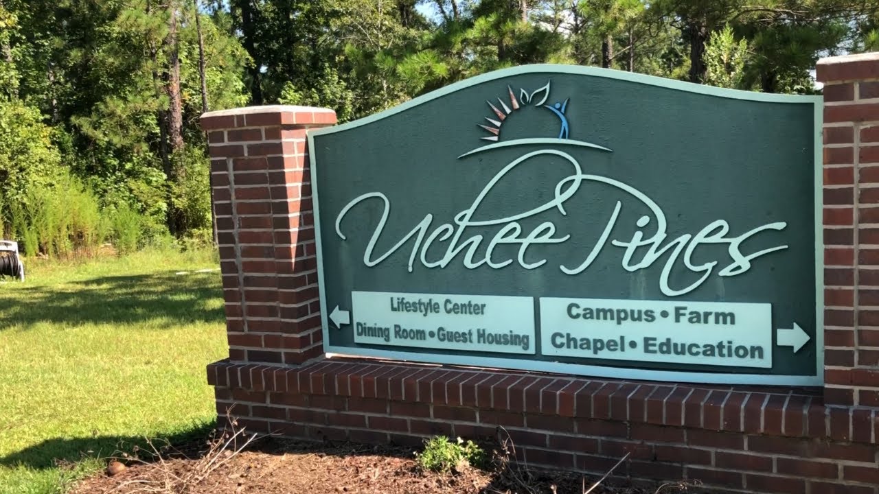 Um tour de onde vivo, Uchee Pines- VLOG #4 #umchamadoaosjovens # ...