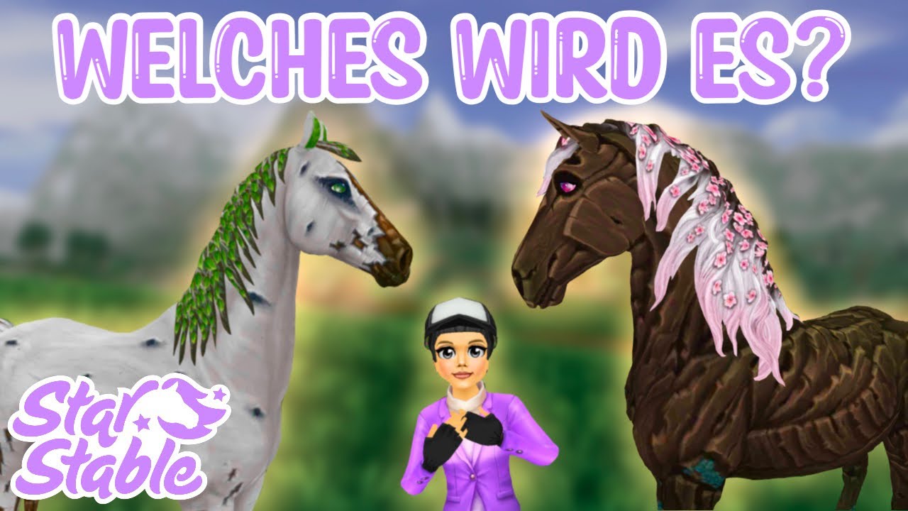 BIRKIR und HANAMI 🌿🌸 Pferdekauf! | Cherrymoon SSO 🍒🌙 - YouTube