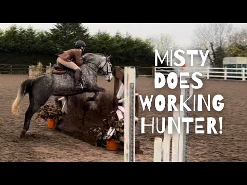 MISTY’S FIRST COMPETITION IN 7 MONTHS // WORKING HUNTER AT DANESCROFT