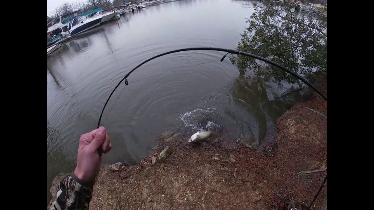 {catfishing} Lake Murray S.C. Best way to catch and clean catfish ...