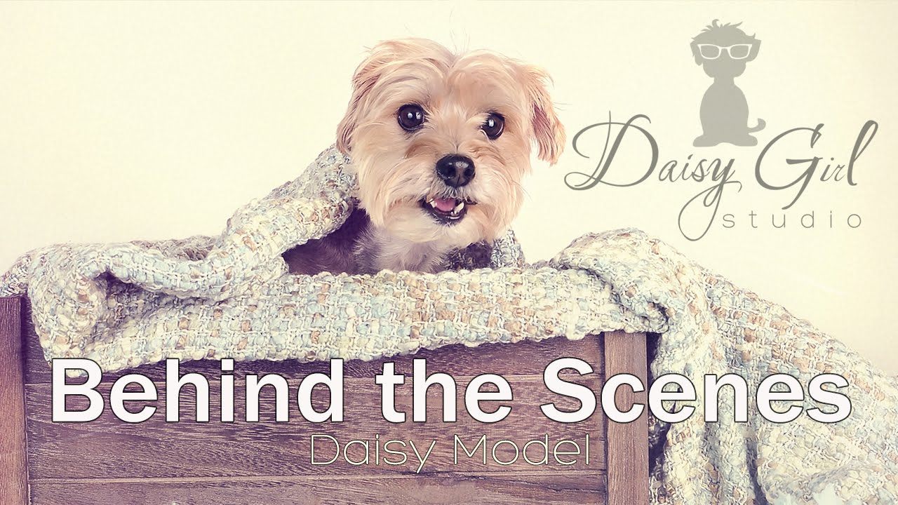 Behind the Scenes Daisy Modeling - YouTube
