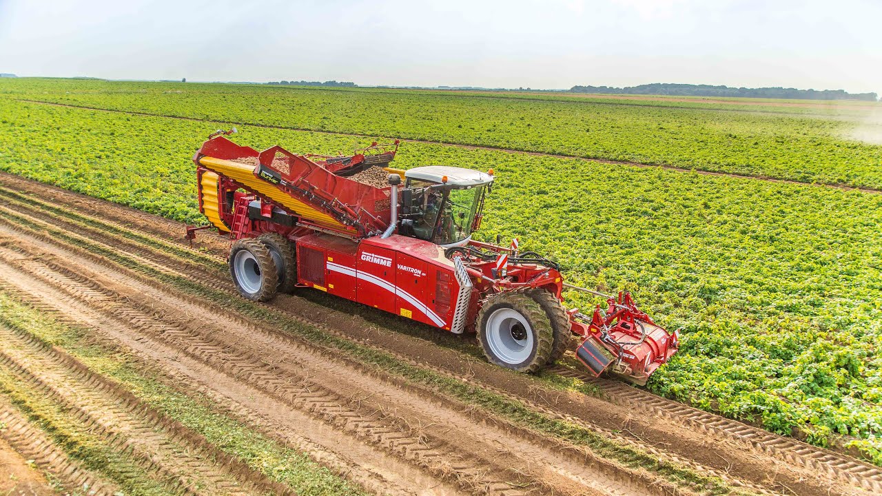 GRIMME VARITRON 270 Platinum TERRA TRAC | New generation of 2-row self ...