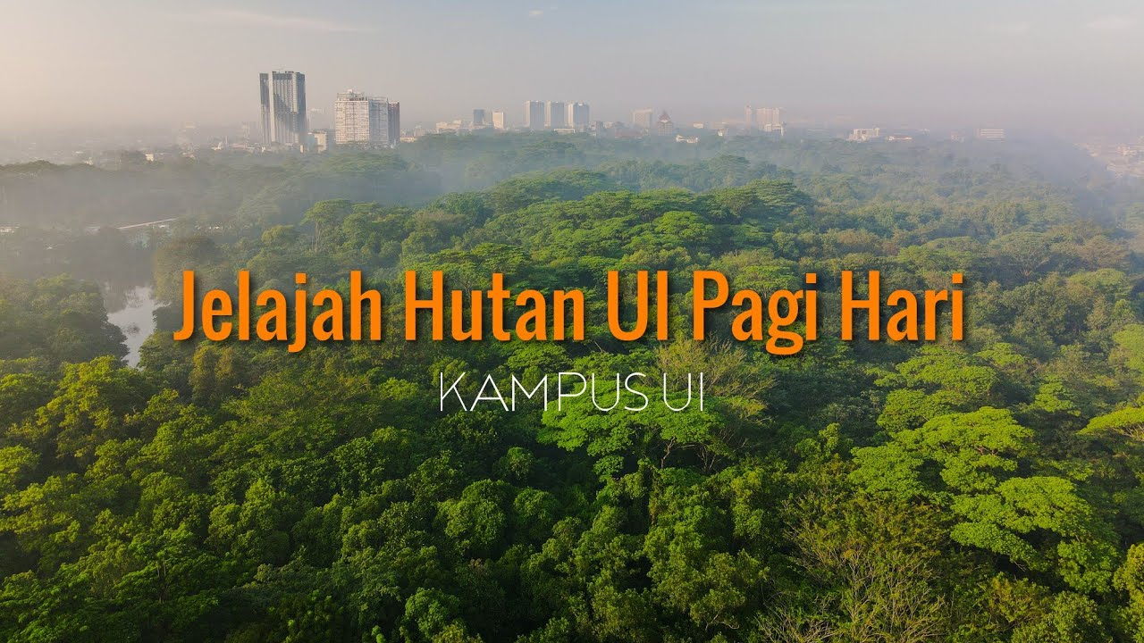 Jelajah hutan kampus UI ( Universitas Indonesia) pagi hari - YouTube