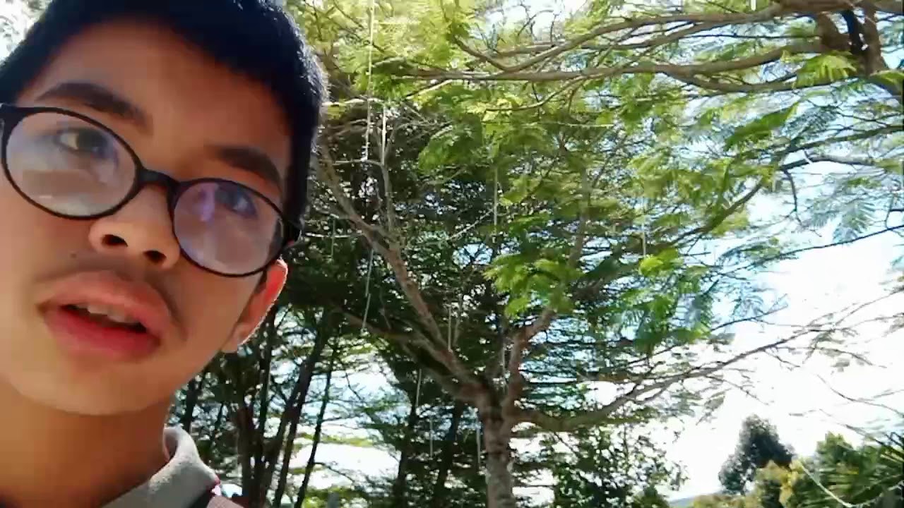 View laman pesona Cheroh Raub Pahang - YouTube