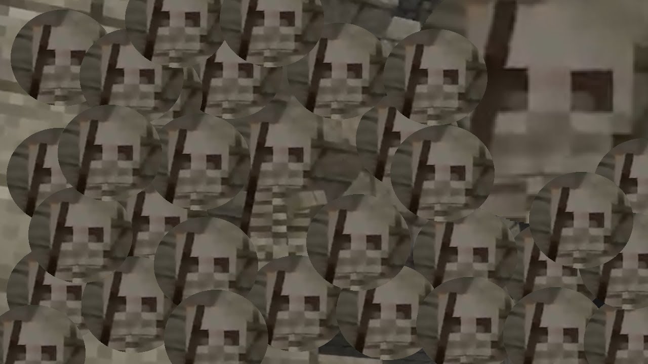 Skeleton seeing if Craft can fly - Minecraft Clip - YouTube