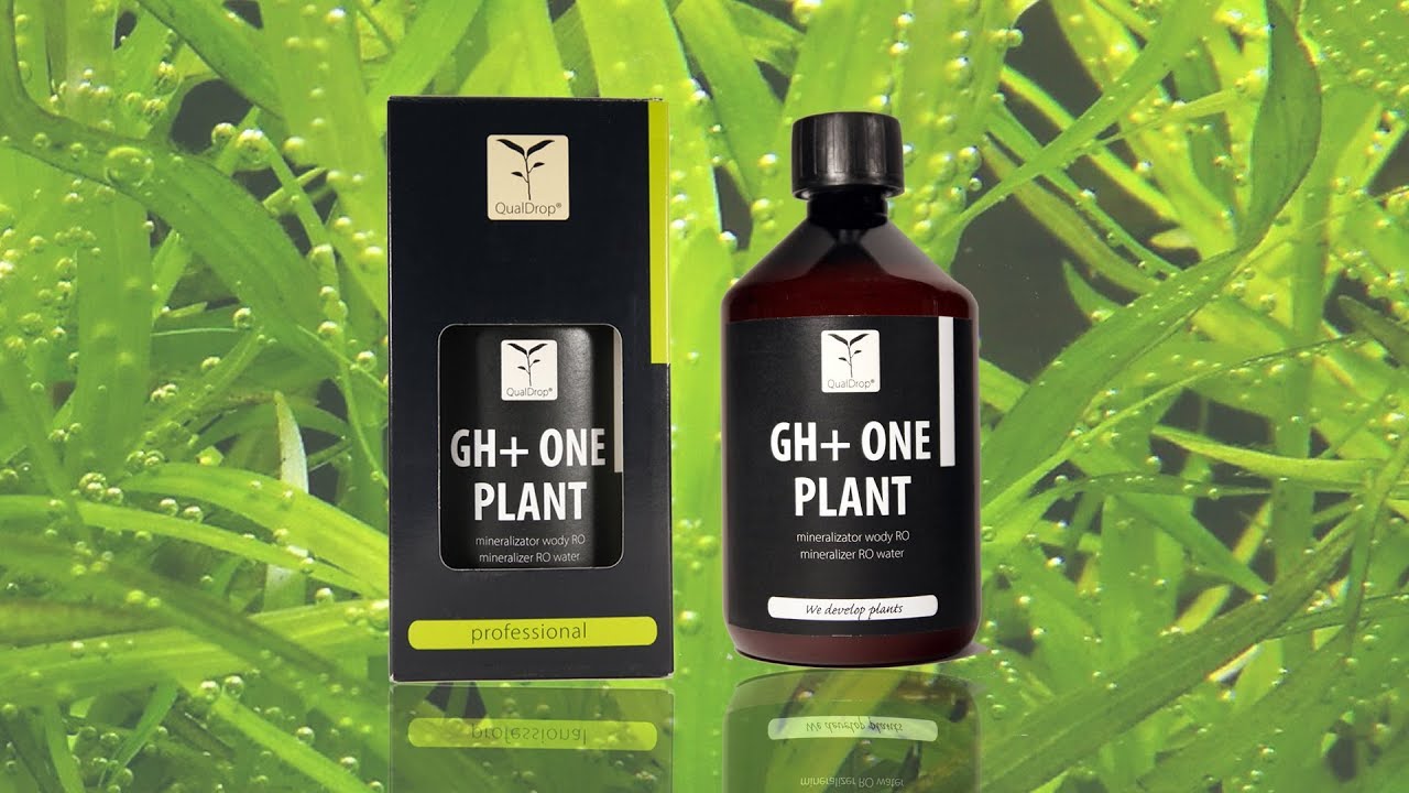 GH+ ONE PLANT - mineralizator wody RO - YouTube