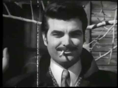 Örümçek babanın oğlu ♧♧ Mine mutlu