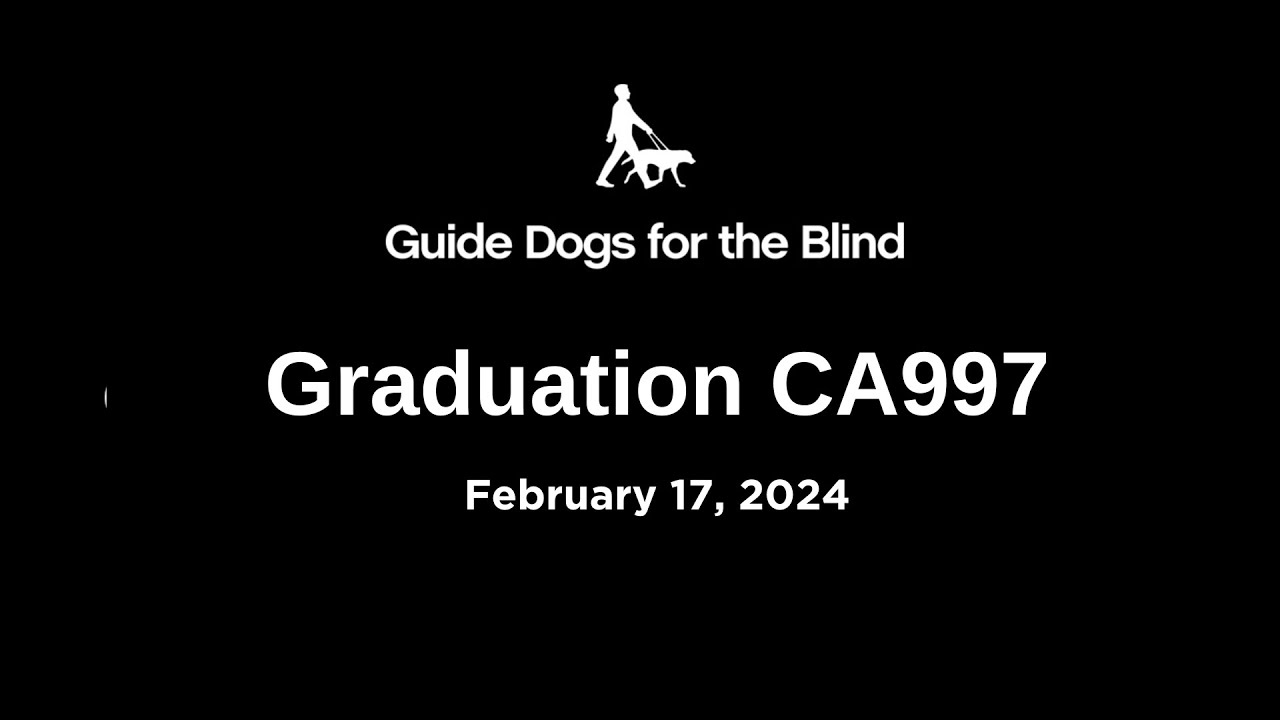 Guide Dogs for the Blind Class CA997 Graduation Livestream - YouTube