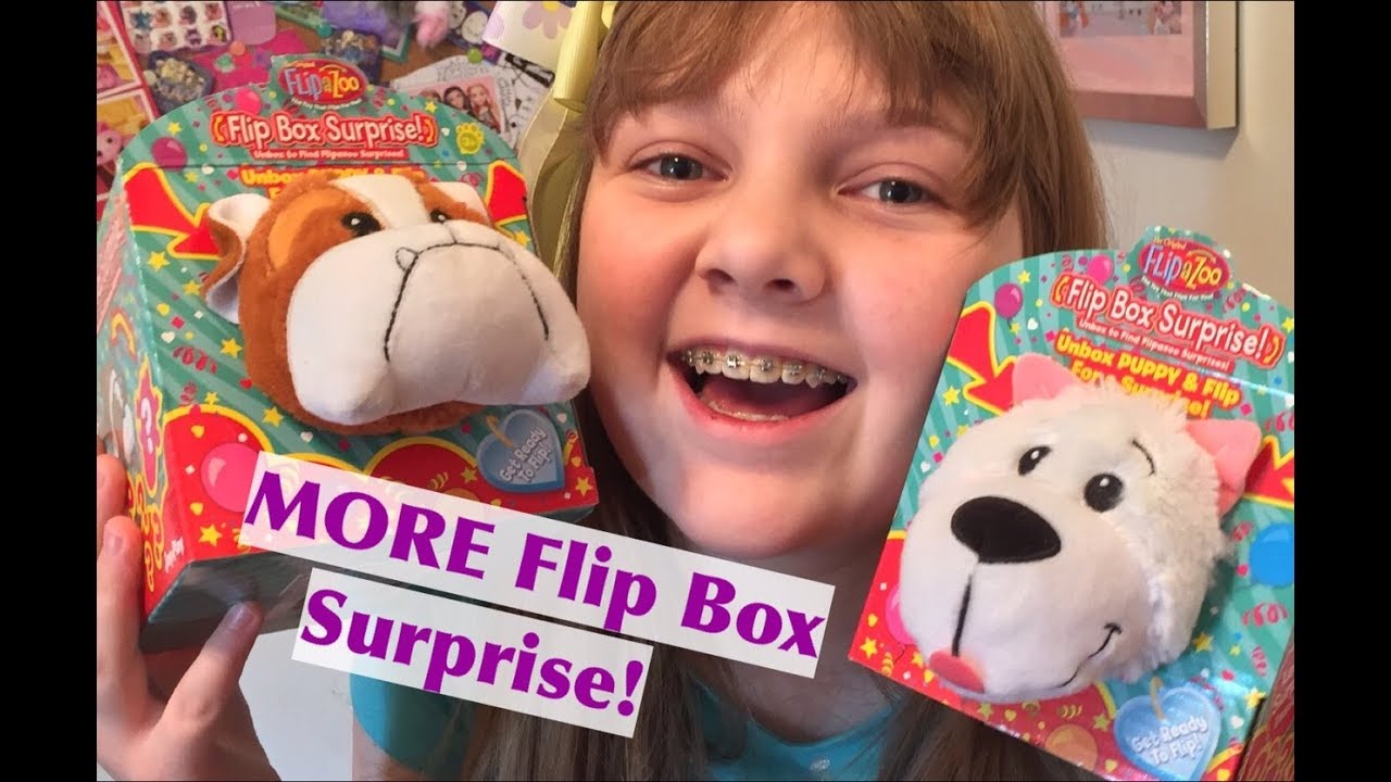 MORE New Flip Box Surprise FlipaZoo FlipBox Puppy & Party Animal ...