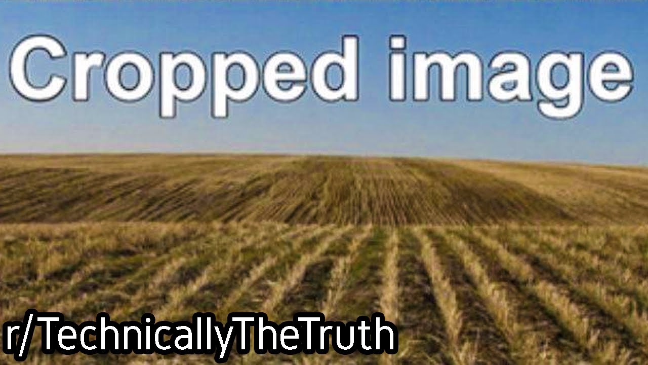 r/TechnicallyTheTruth | That's... not wrong - YouTube