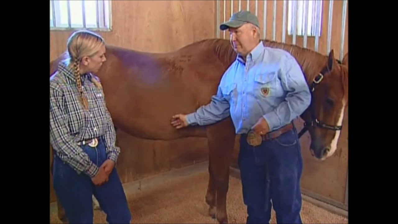 Richard Shrake Resistance Free Training Foundation for beginners part 1 ...