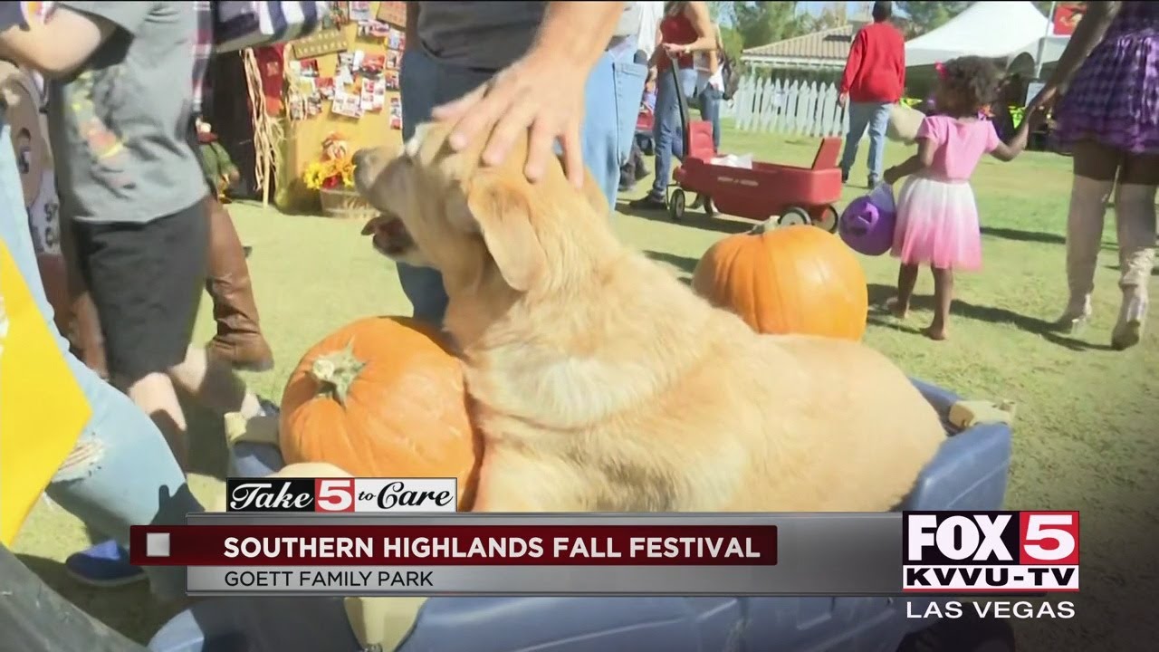 Take 5 to Care: Highlights from Southern Highlands Fall Festival - YouTube