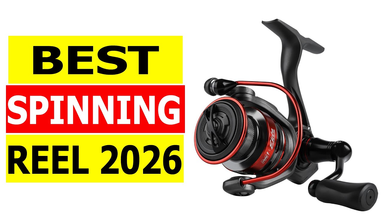 Top 5 Best Spinning Reel 2026 - YouTube