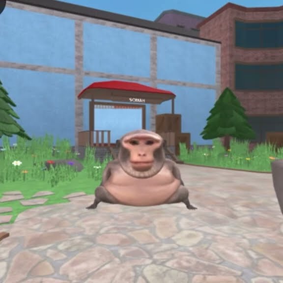 ROBLOX MONKEY - YouTube
