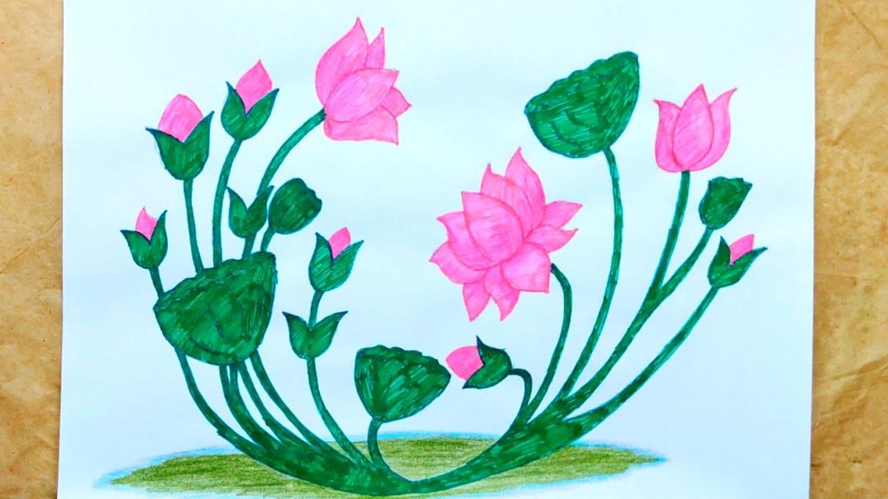 How to draw a Louts flower/🌷🌷 Aashiq Art 🎨 - YouTube