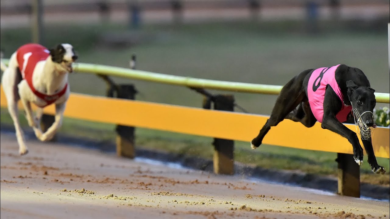 2018 Bold Trease Heat 2 - YouTube