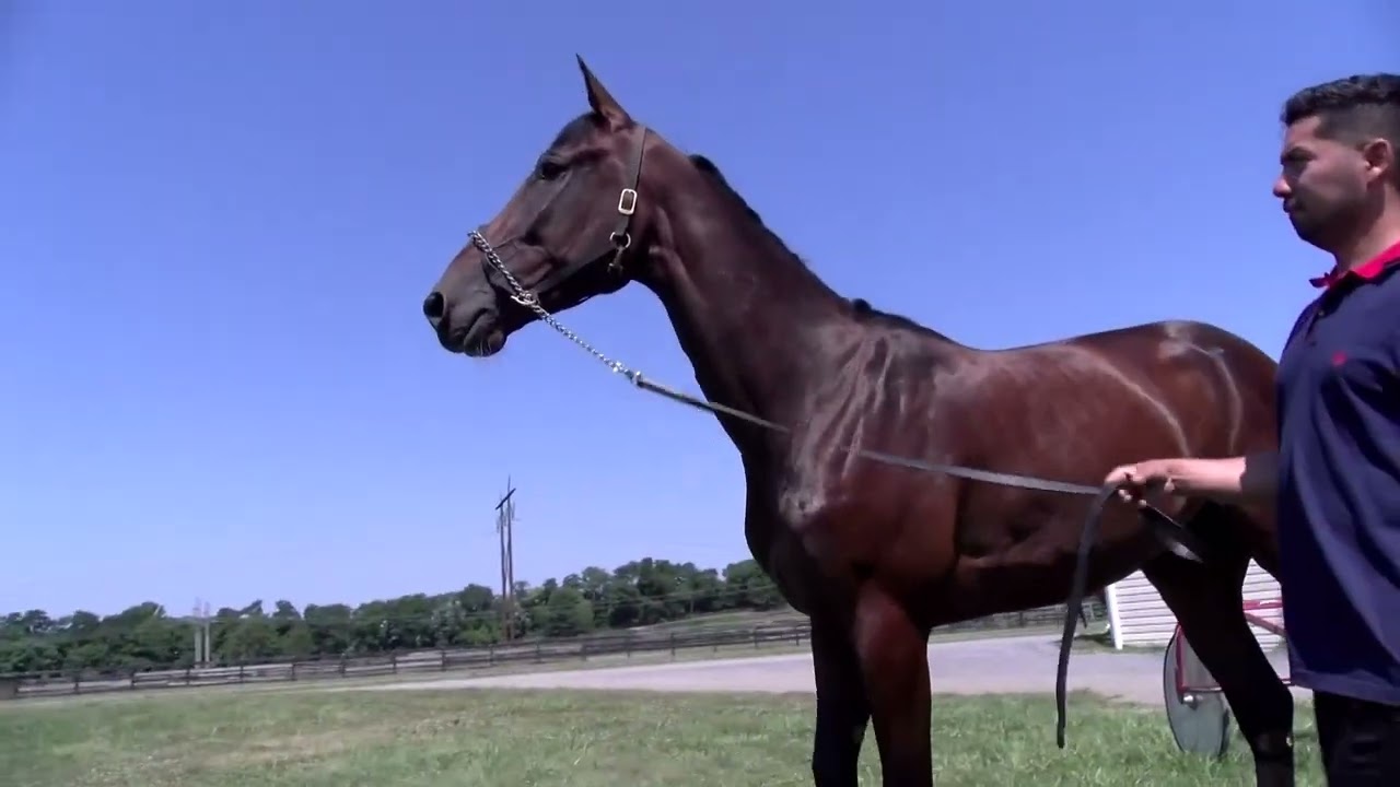 Jessica Otten speaks with Joe Holloway about Early Action - Meadowlands ...
