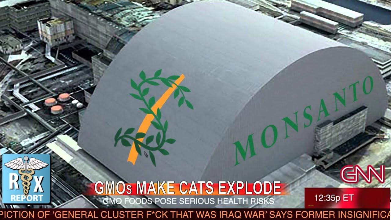 GMOs Make Cats Explode - YouTube