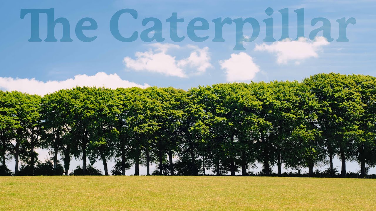 A walk to visit The Caterpillar - YouTube