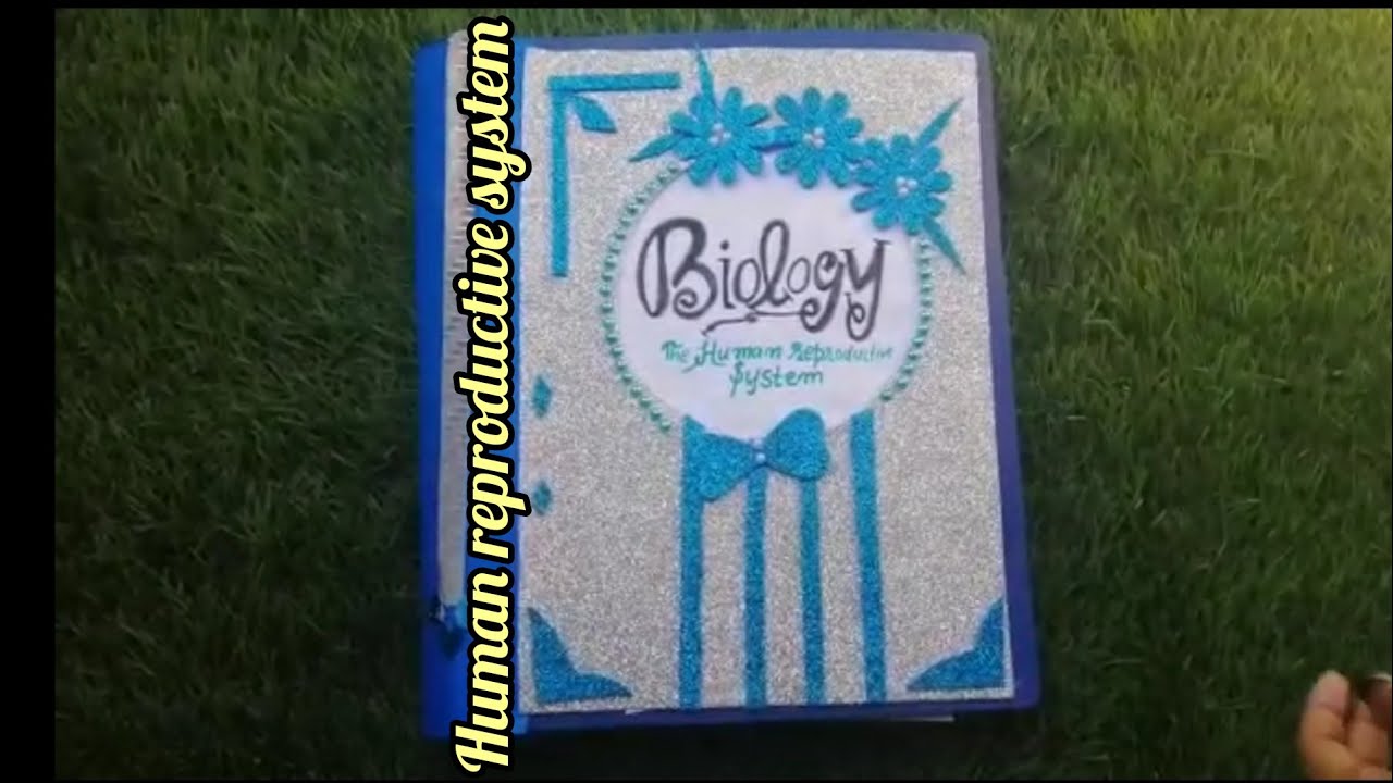 Biology file design on reproductive system - YouTube