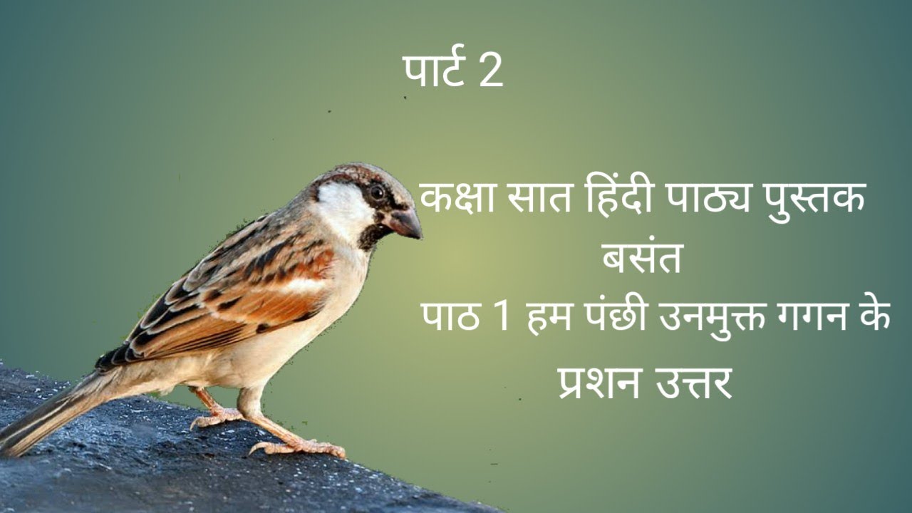 Hum Panchi Unmukt Gagan Ke Chapter 1 || Class 7th Hindi Book Vasant ...