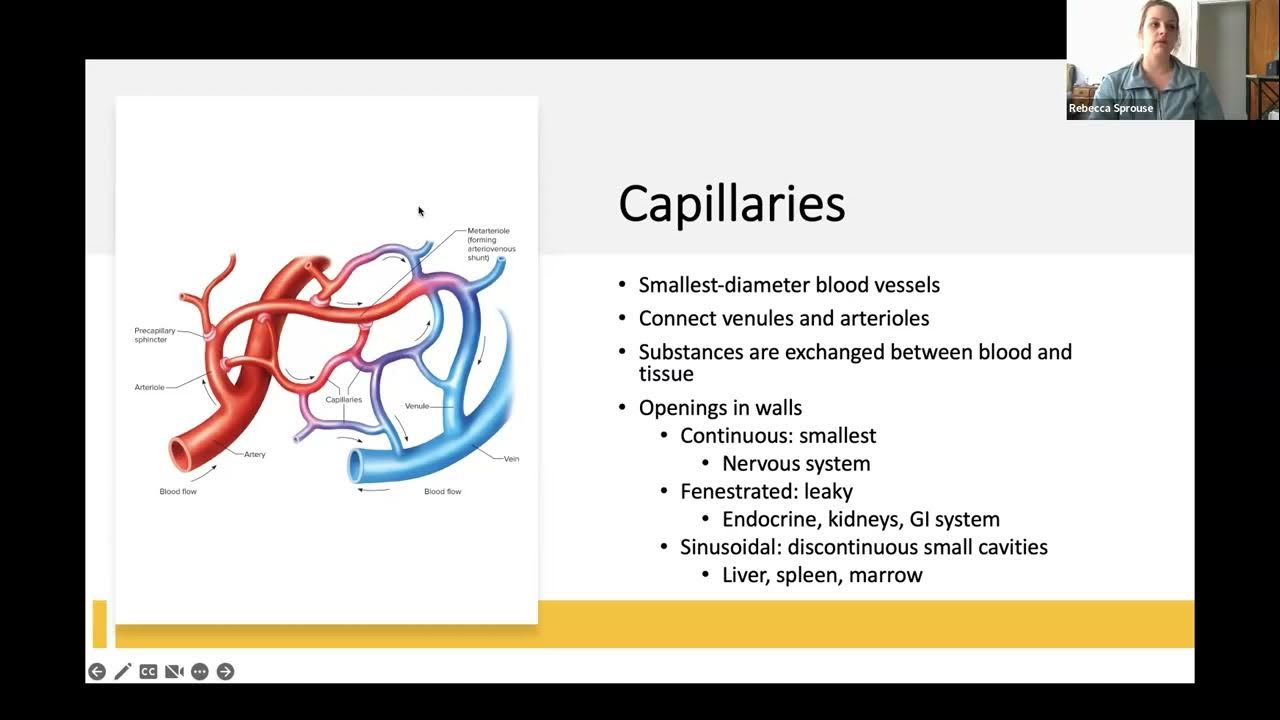 Module 3, Part 3 - YouTube