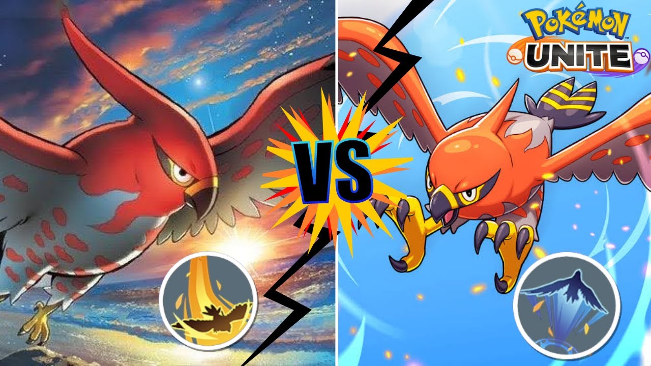 Which Talonflame Is Better: Fly vs. Brave Bird! - YouTube