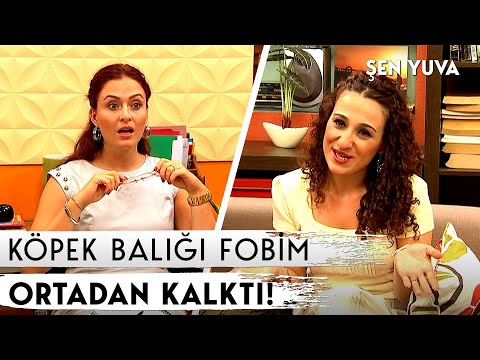 Köpek balığı fobim ortadan kalktı!😄 - Şen Yuva 2. Bölüm