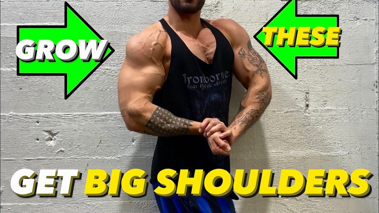 3 Shoulder Exercises EVERYONE Should Do (I WISH I Did Them Sooner ...