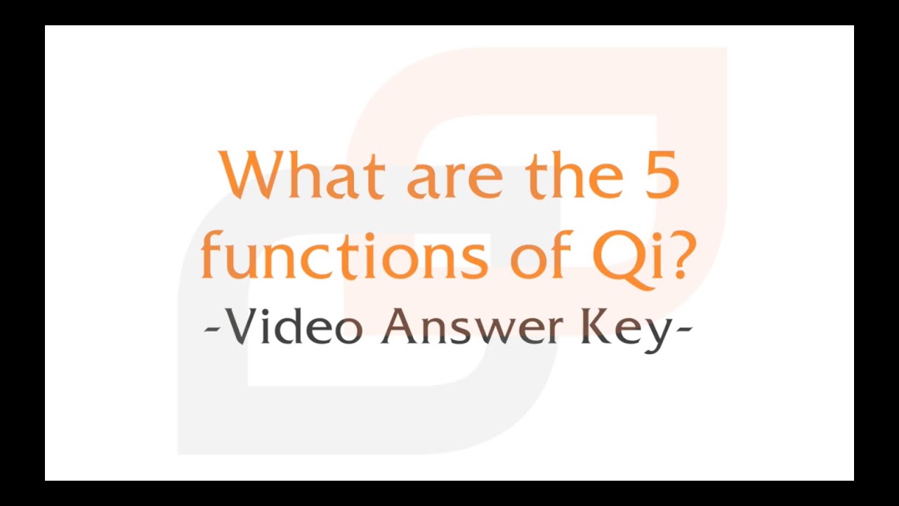 What are the 5 Functions of Qi? - YouTube