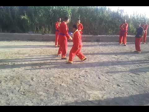 Silat tapak suci Algérie