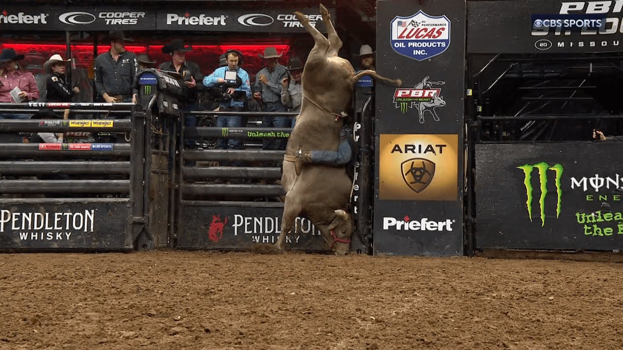 Beyond Belief: WRECK's Unusual Bull Riding Handstand Elicits Universal ...
