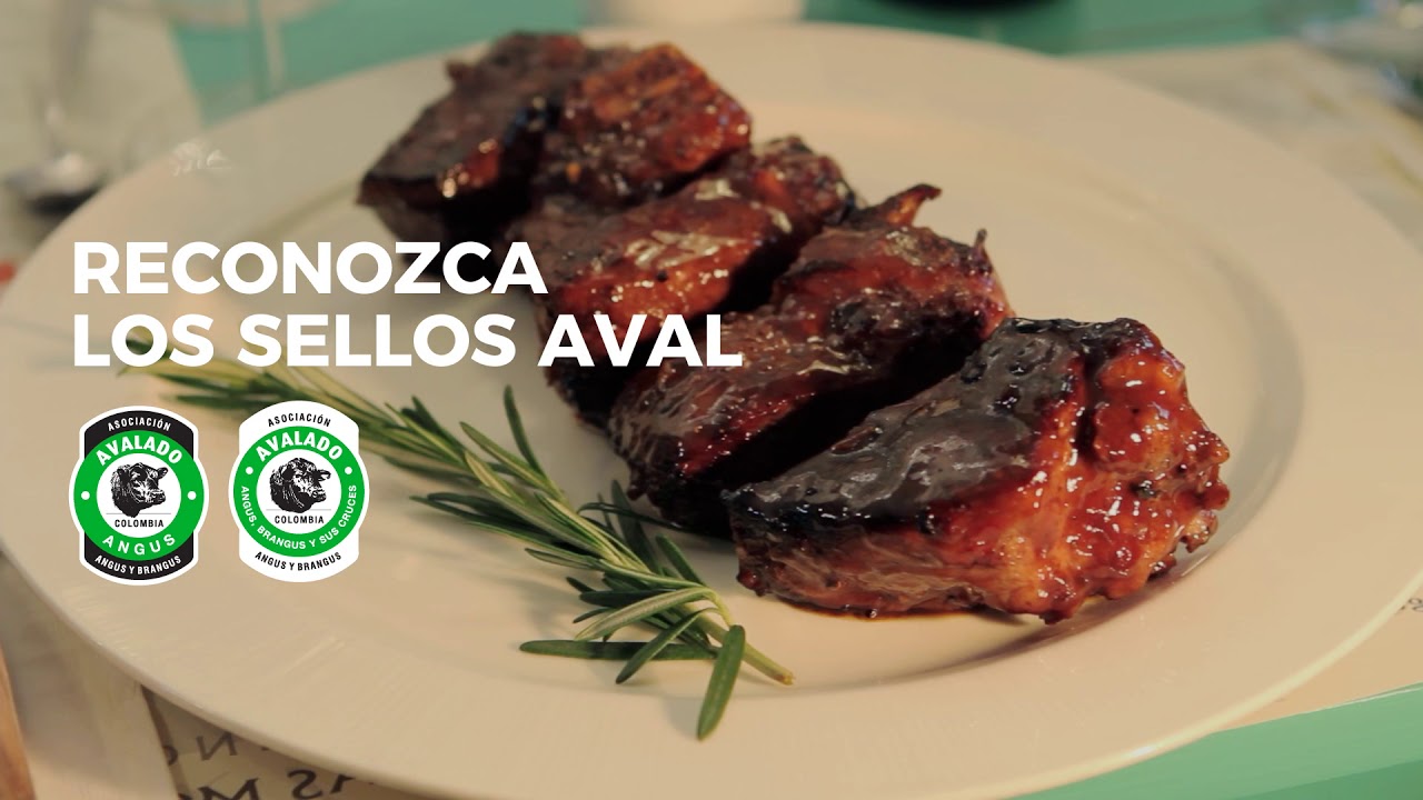 SELLOS AVAL DE CARNES ANGUS Y BRANGUS - YouTube