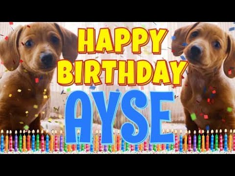 Happy Birthday Ayse! ( Funny Talking Dogs ) What Is Free On My Birthday