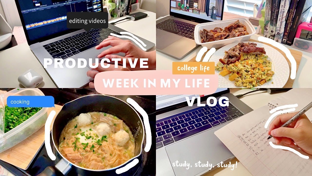 productive week in my life | 6am routine, self-studying, cooking at ...