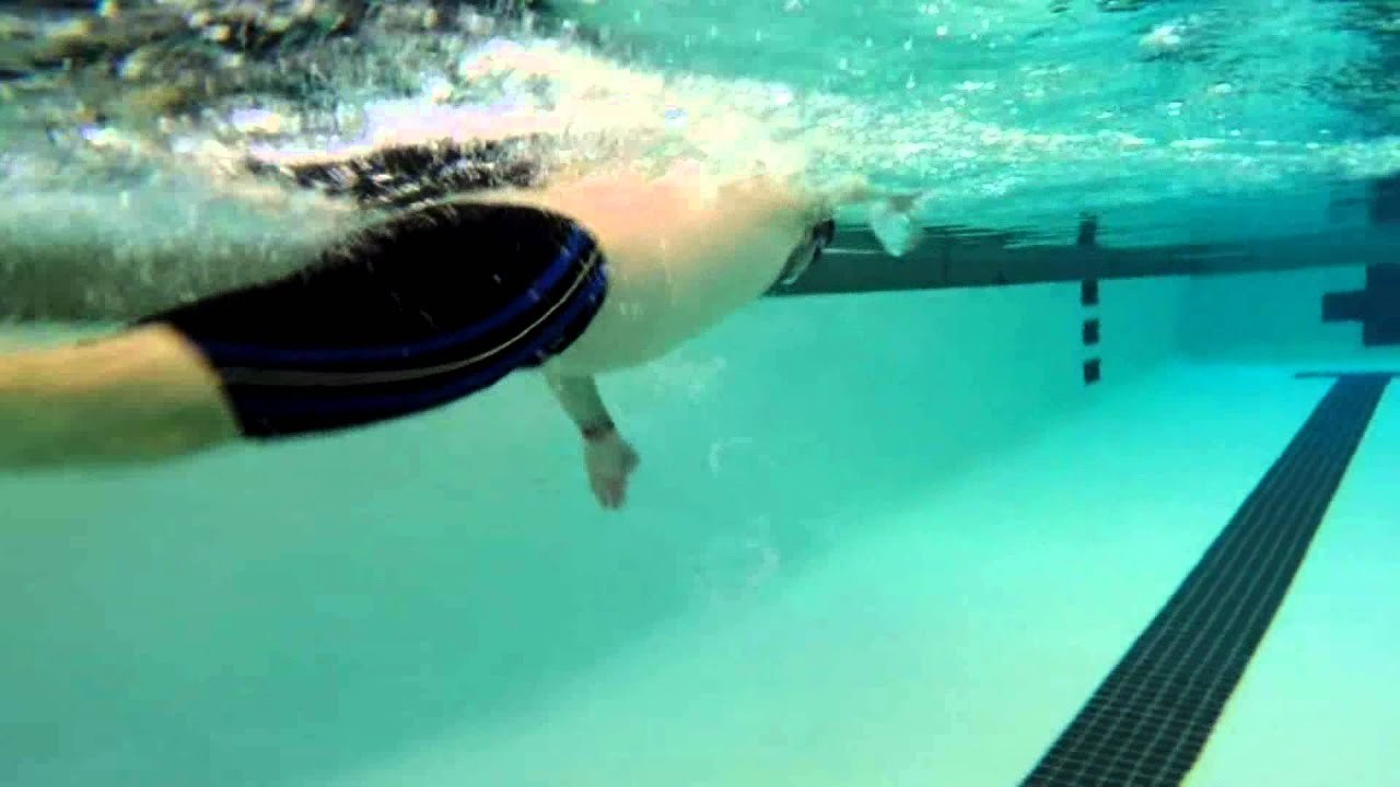 my swim video from ATC Video Swim Clinic - February 15, 2015 - YouTube