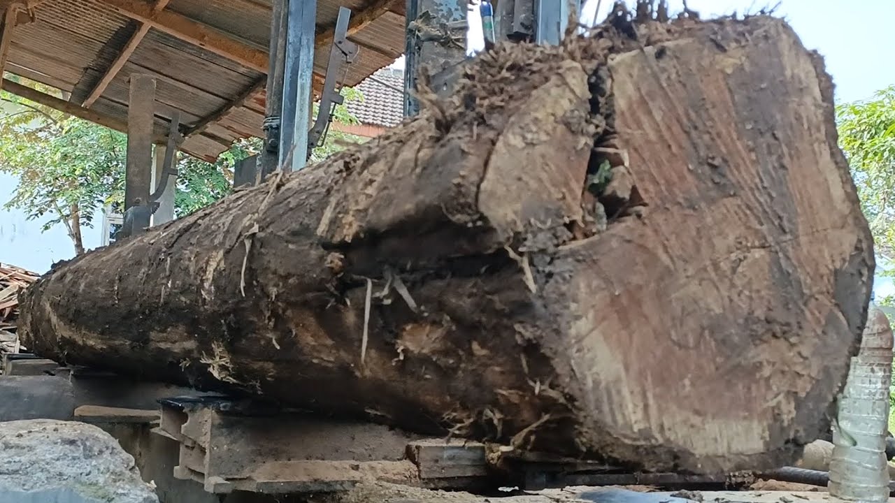 Unexpected idea in sawing very long wood || How Can You Miss This ...