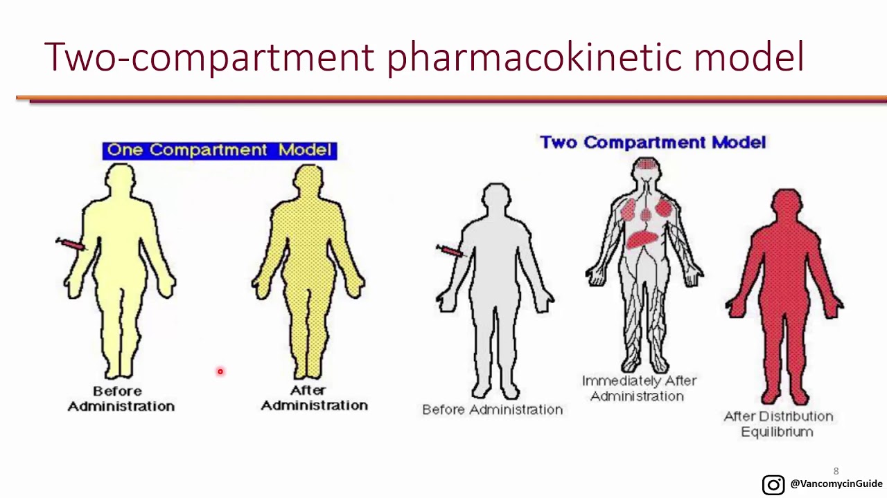PK PD Of Vancomycin LO 1 YouTube PK PD Of Vancomycin LO 1 YouTube
