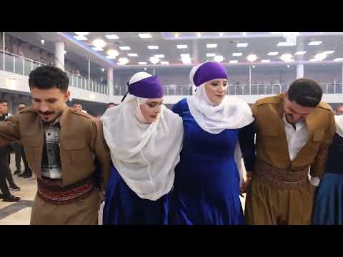 şegmuse erbani Govend Xürsi aşireti 2024