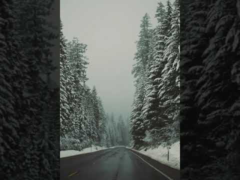 Omid Nemati - Sedayem Kon