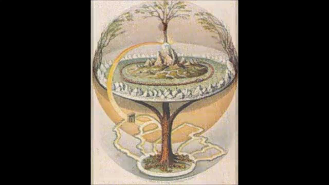 Timeless Tree - YouTube