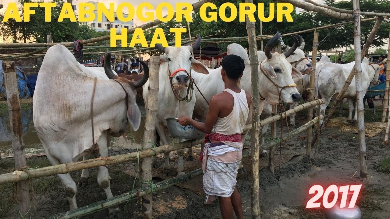 Aftabnogor Gorur Haat e 2017 te Prothom Dike Asha Huge Size Indian ...