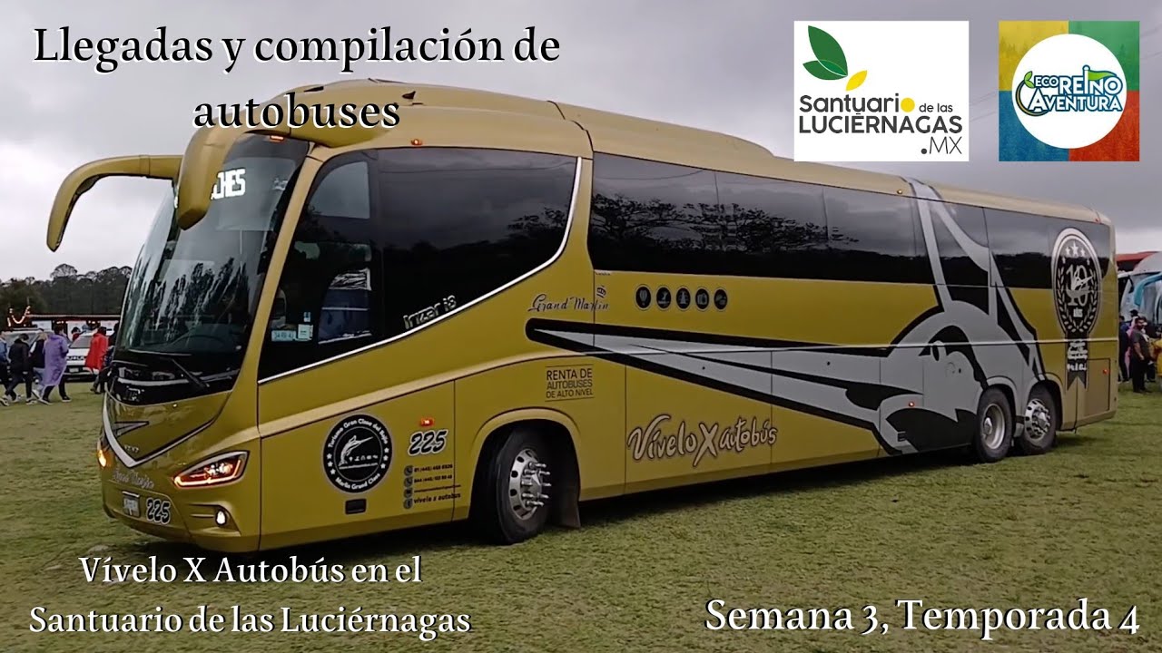Llegadas y compilación de autobuses, Vívelo X Autobús en el Santuario ...