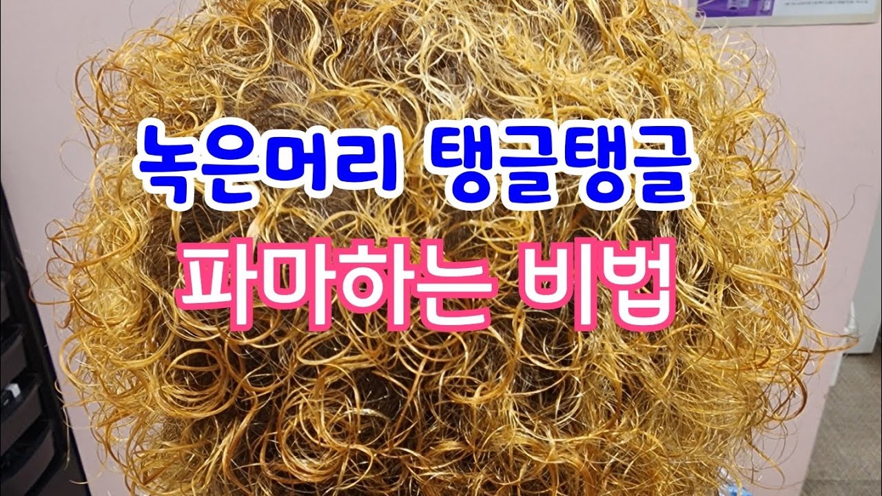 미용실일상 녹은머리 탱글탱글 파마하는 비법 공개탈색머리 파마하기일반파마 할머니 머리 파마 잘 나오게 하는 방법 Youtube