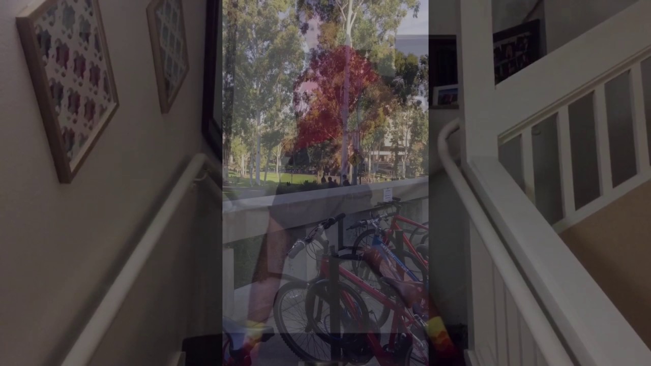 Sig Ep Mr.Heartthrob 2016 - YouTube